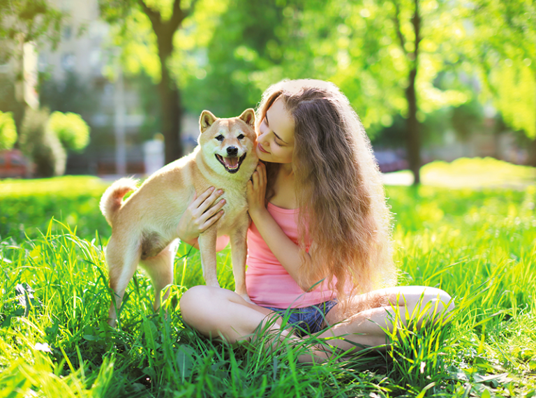Pet Training & Communication - Pets Are Life